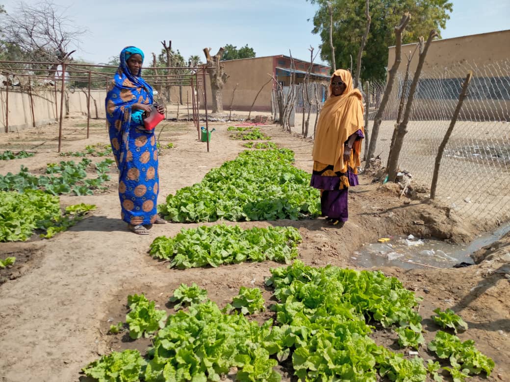 Niger. Quality education for 21,000 children in Diffa | COOPI
