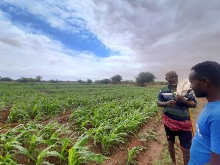 Ethiopia. Mohamed's solar-powered irrigation system | COOPI