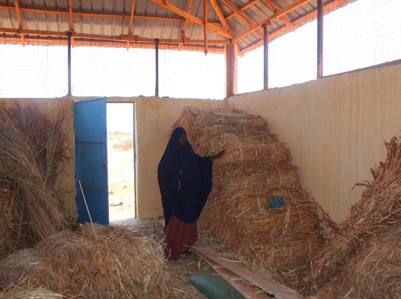 Somalia. Fodder storage helping communities to build resilience | COOPI