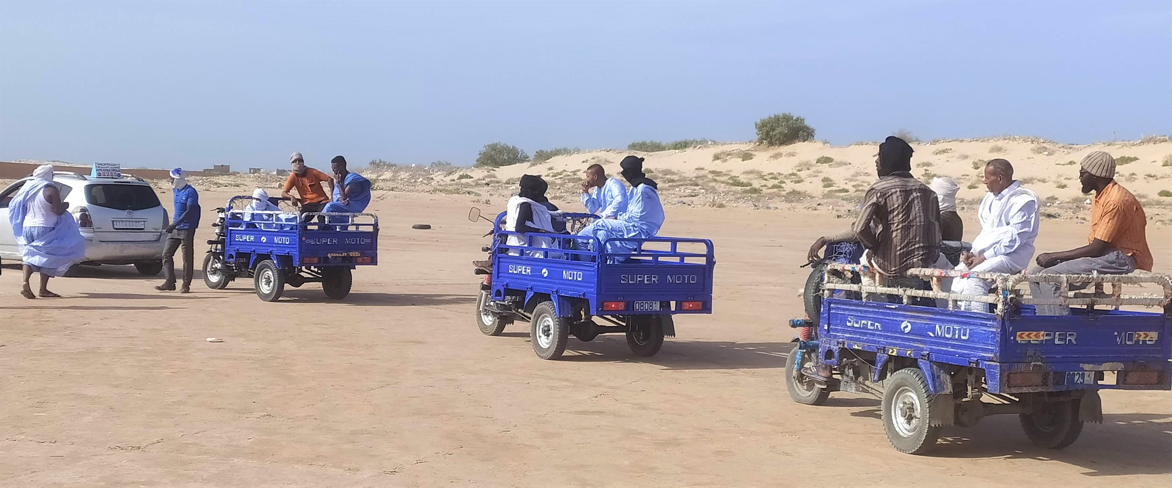 Mauritania. COOPI strengthens the value chain in the poultry sector | COOPI