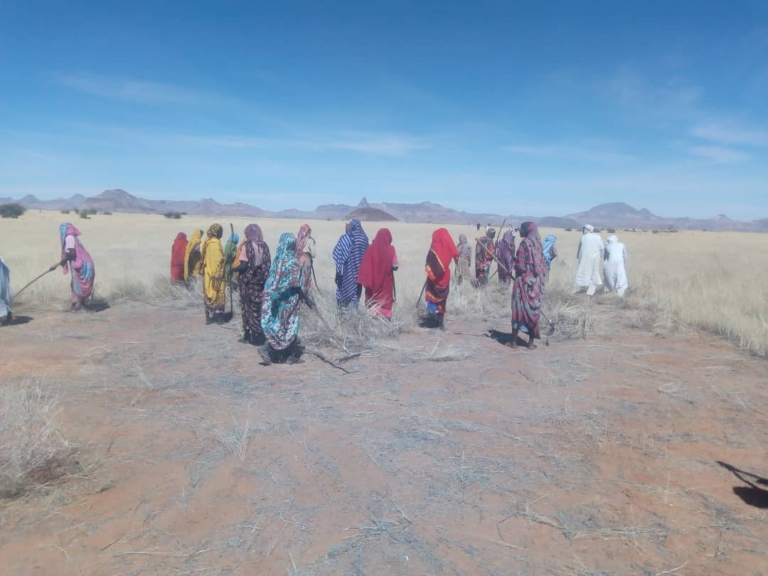 North Darfur. Over 45 kilometres of fireline to save crop fields | COOPI